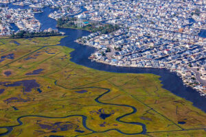 saltmarsh-border - Atlantic Coast Joint Venture